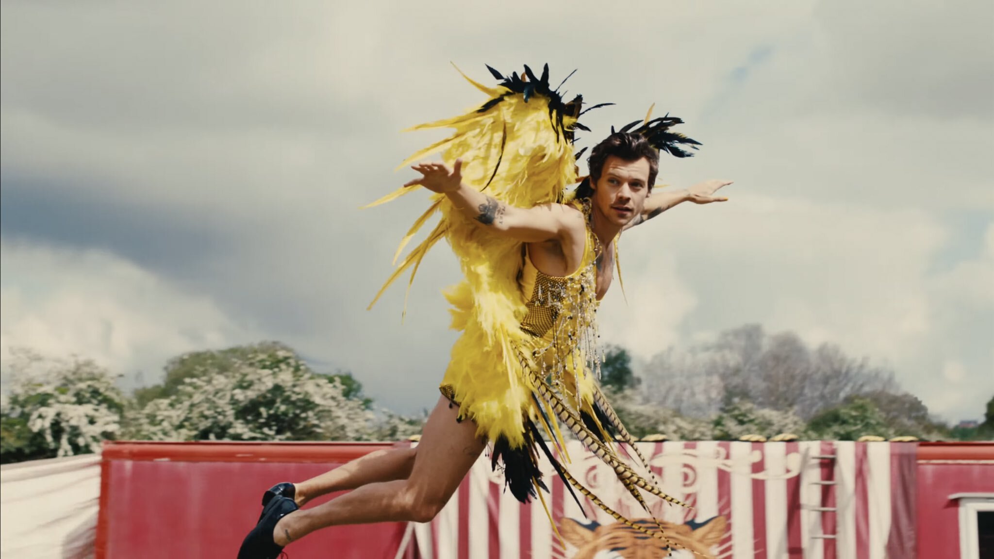 Harry Styles' latest circus-themed 'Daylight' takes internet by storm ...