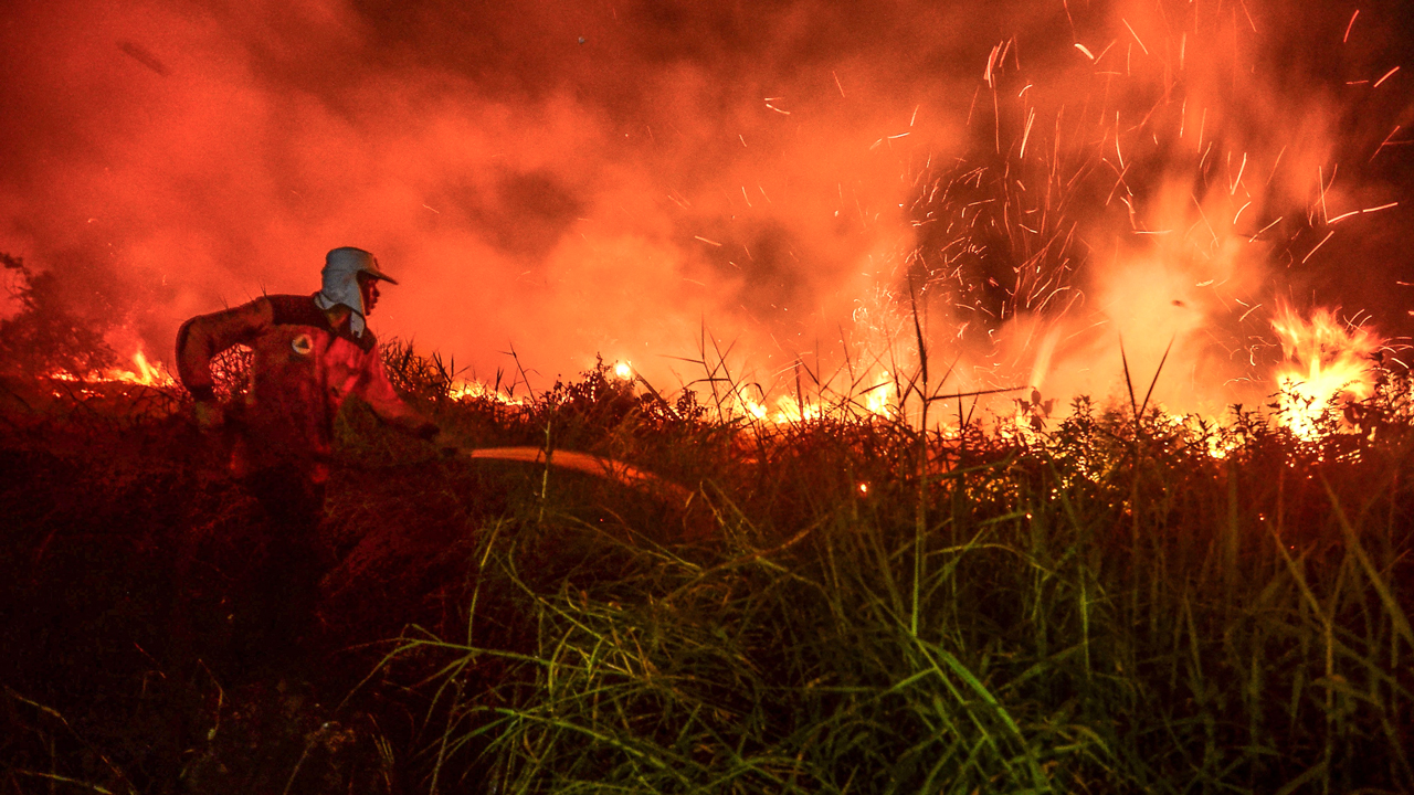 Indonesia fire burns 15 hectares of landfill, still rages - HUM News ...