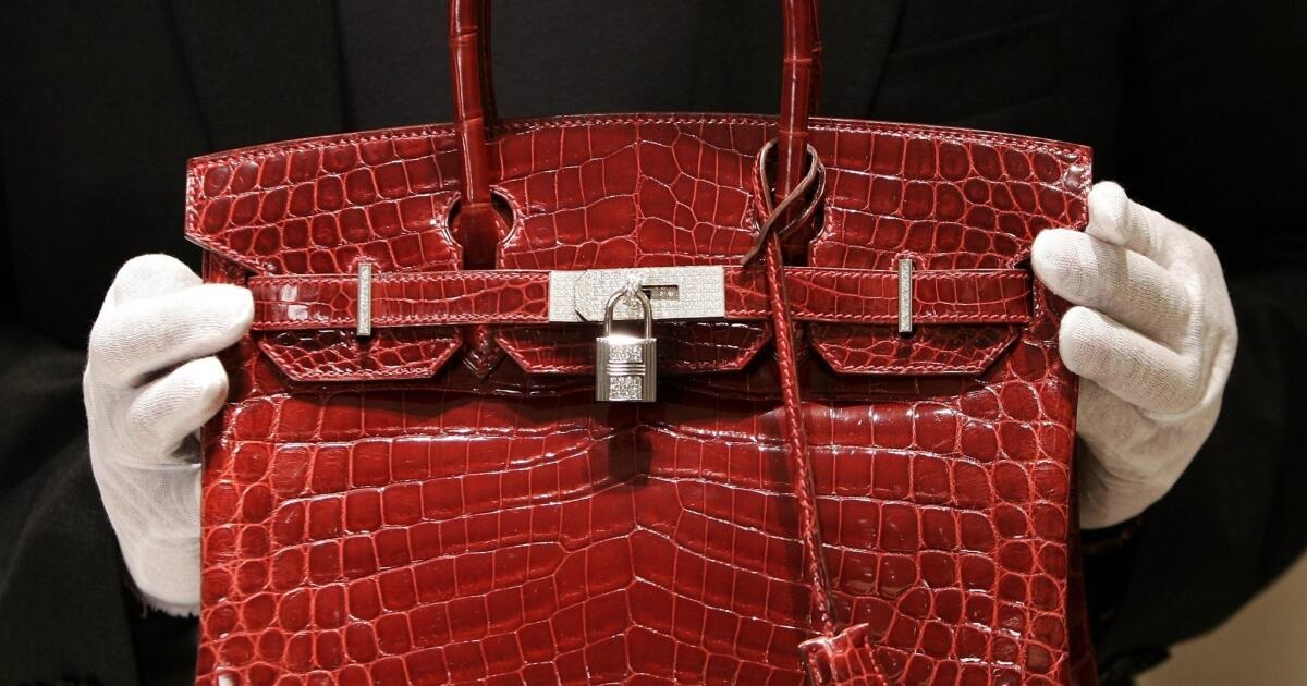Disgruntled shoppers file lawsuit against Hermès over Birkin bags - HUM ...