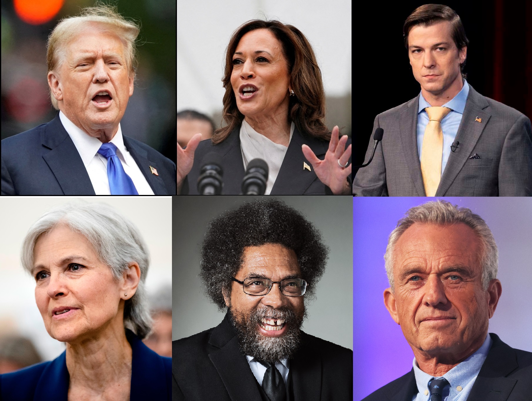 Who are the candidates running in the US presidential election? - HUM ...