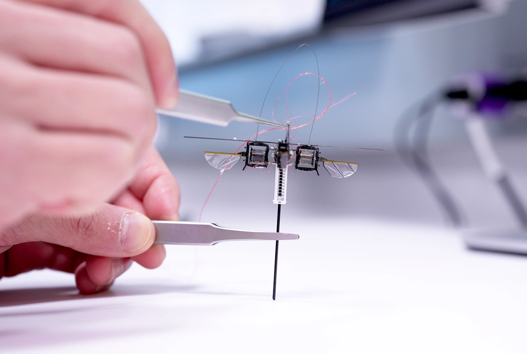 Hopping gives this tiny robot a leg up - HUM News English