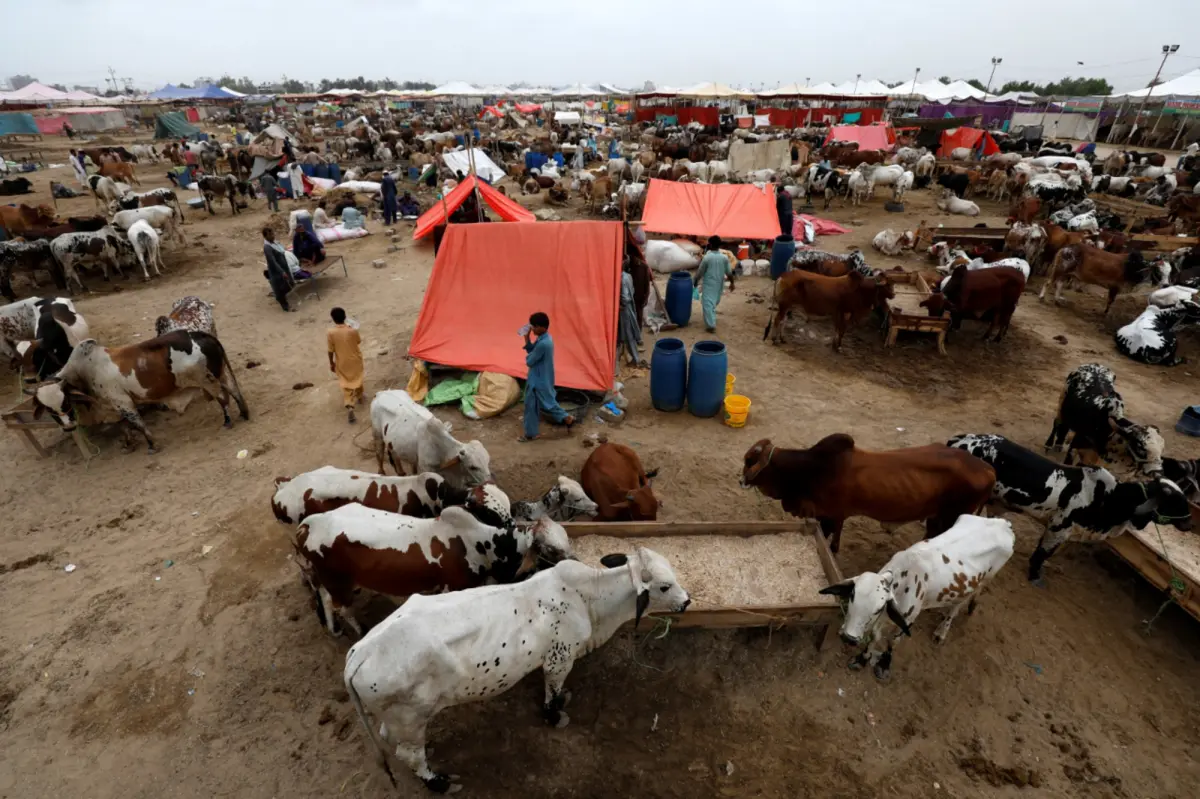 Eid ul Ahha: Islamabad launches massive clean-up operation - HUM News ...