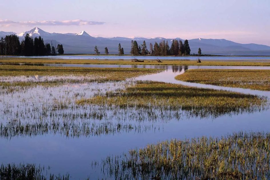 World Wetlands Day: wetlands in Pakistan and the fight to protect them ...